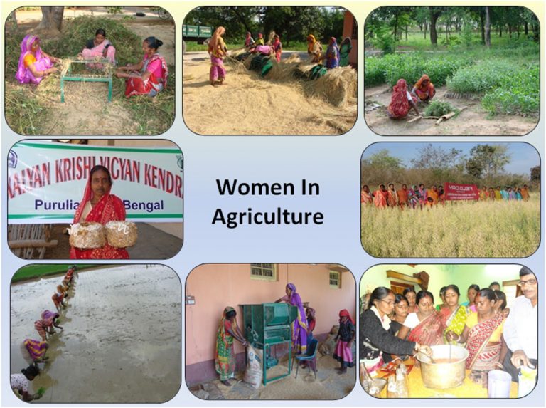 Women in Agriculture – Krishi Vigyan Kendra Kalyan, Purulia